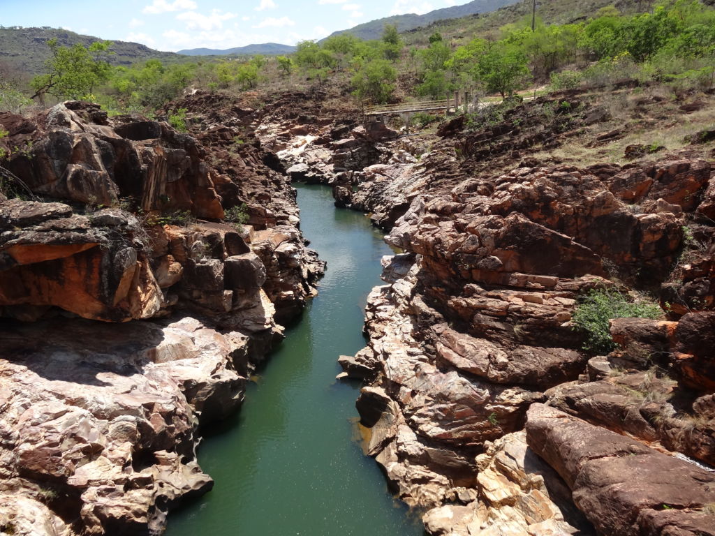Programa Copaíbas – Copaibas